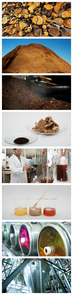 The Vegetable Tanning Process - VegLeatherHub